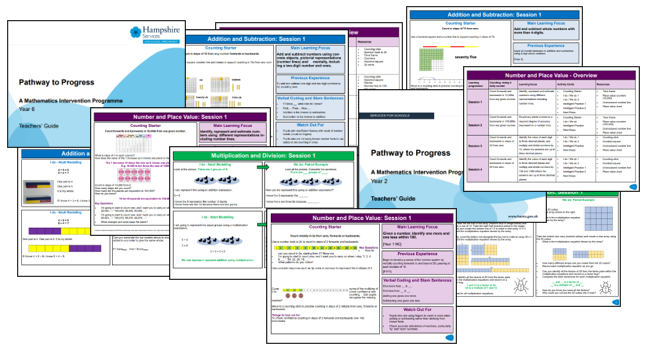 Course: Pathway to Progress - product information